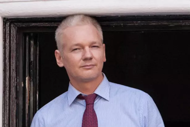 Julian Assange jep një koncert modelimi për Ben Westwood Catwalk