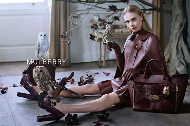 Mulberry-1