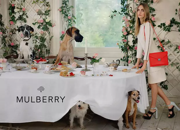 Mulberry cara delevingne 620