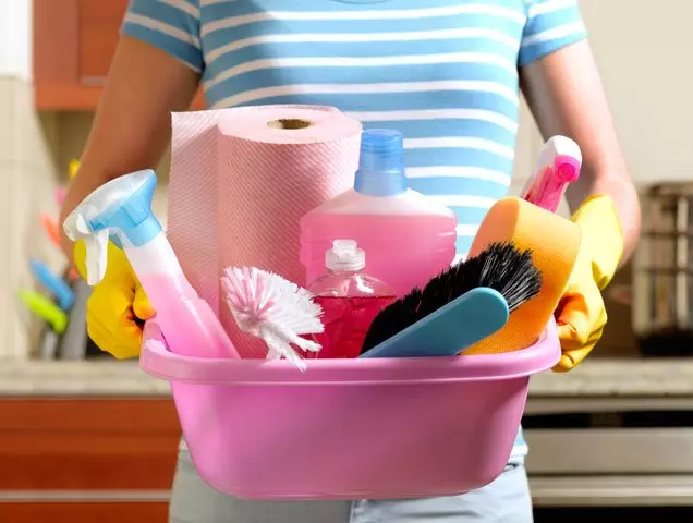 Preparació per a serveis professionals de neteja: és necessari? 155235_1
