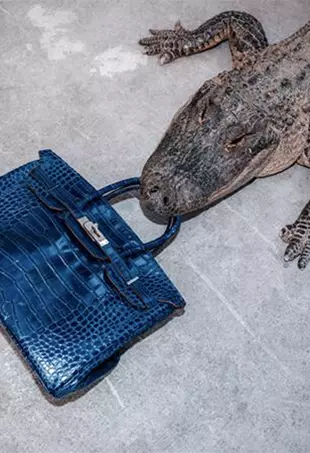 Reba: Umufotozi Tyler Shields Yagaburiye Birkin 100.000 $ kuri Crocodile