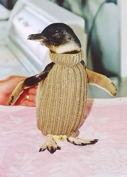 Пінгвін