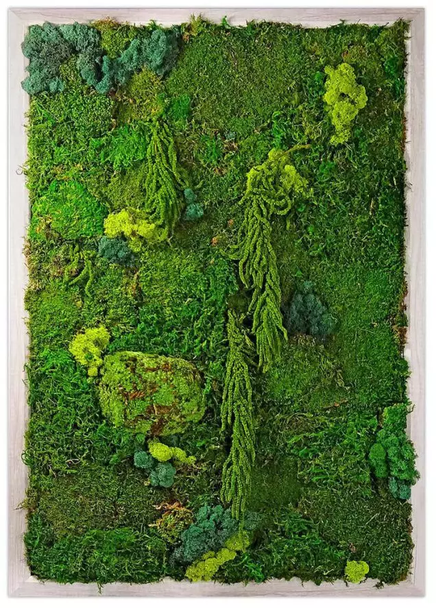 Luludi Living Art Moss Derbiga Beerta, $599