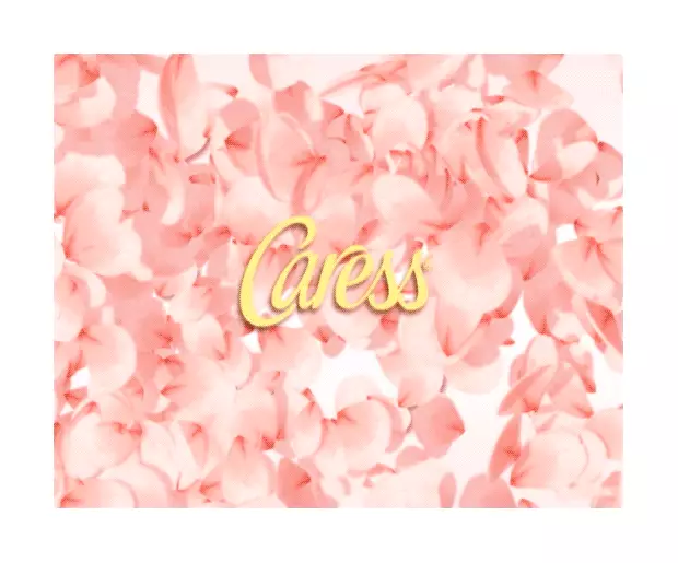 pink roses - Caress