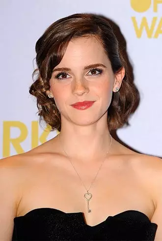 Na sehlopha sa Hacker 'Anonymous' se netefalitse Emma Watson joalo ka Anastasia Steele bakeng sa Movie ea 'Fifty Shades of Gray'? Che. 274502_1